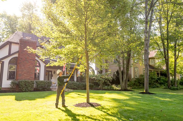 THE DAVEY TREE EXPERT COMPANY - Updated January 2026 - 50 Reviews ...