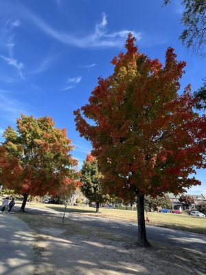 BYRD PARK - Updated December 2025 - 75 Photos & 38 Reviews - 600 S Blvd ...