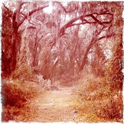 BIVENS ARM NATURE - 31 Photos - Parks - 3650 S Main St, Gainesville, FL ...