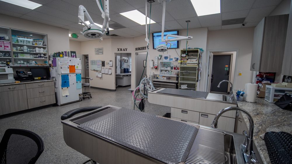 MONUMENT VIEW VETERINARY HOSPITAL - Updated December 2025 - 12 Photos ...