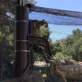 ORANGE COUNTY ZOO - 1262 Photos & 363 Reviews - 1 Irvine Park Rd ...