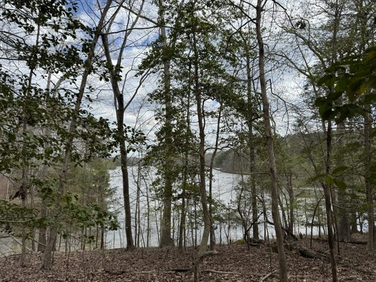 BLUE JAY POINT COUNTY PARK - Updated May 2026 - 72 Photos & 24 Reviews ...