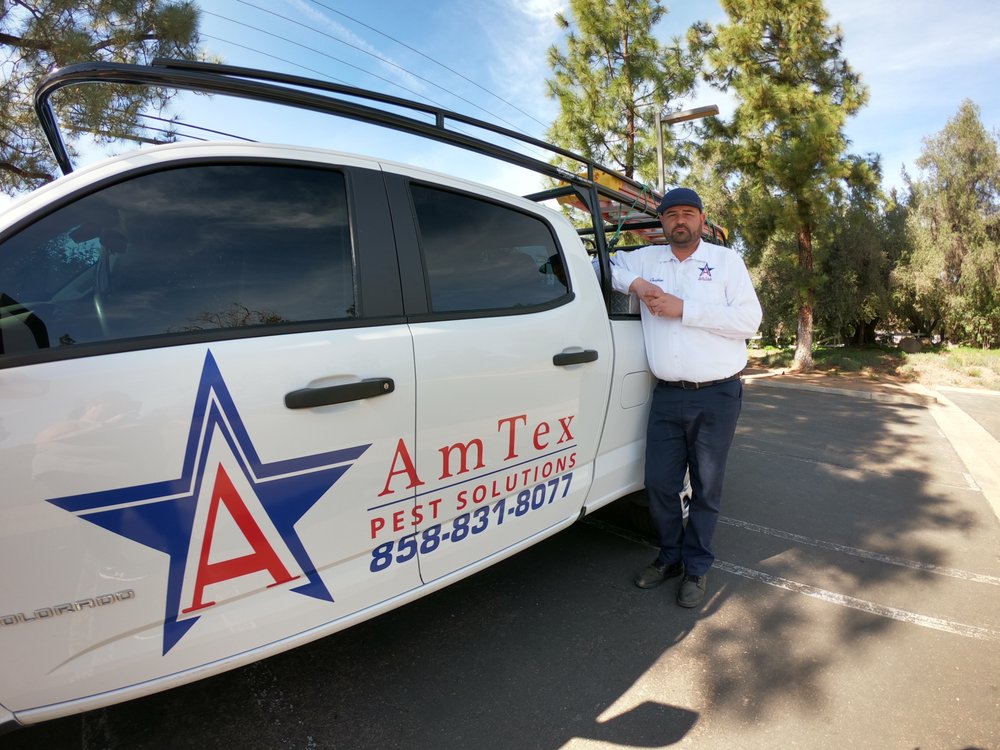 AMTEX PEST SOLUTIONS - Updated March 2025 - 27 Photos & 233 Reviews ...