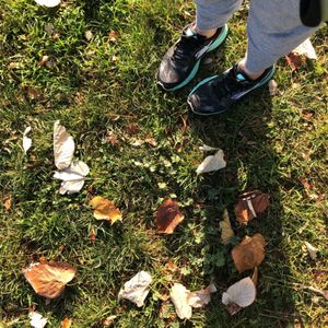 SWANSTON PARK - 24 Photos & 34 Reviews - 2350 Northrop Ave, Sacramento ...