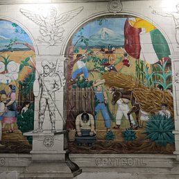 PASION TEQUILA - Updated July 2025 - 232 Photos & 379 Reviews - 19103 ...