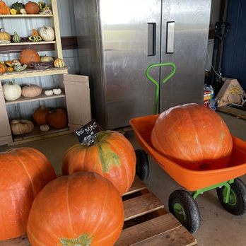 ROCKBERRY RANCH - Updated September 2025 - 159 Photos & 22 Reviews ...