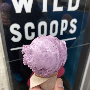 WILD SCOOPS - Updated January 2026 - 440 Photos & 383 Reviews - 429 E ...