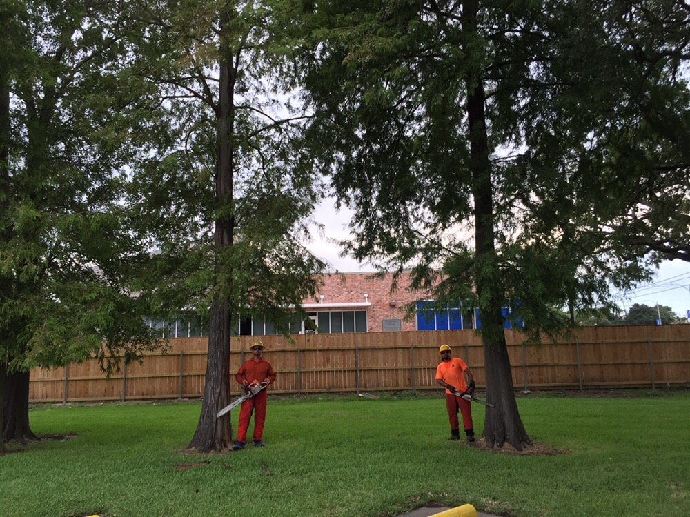 LOUISIANA TREE COMPANY - Updated November 2025 - 48 Photos & 20 Reviews ...
