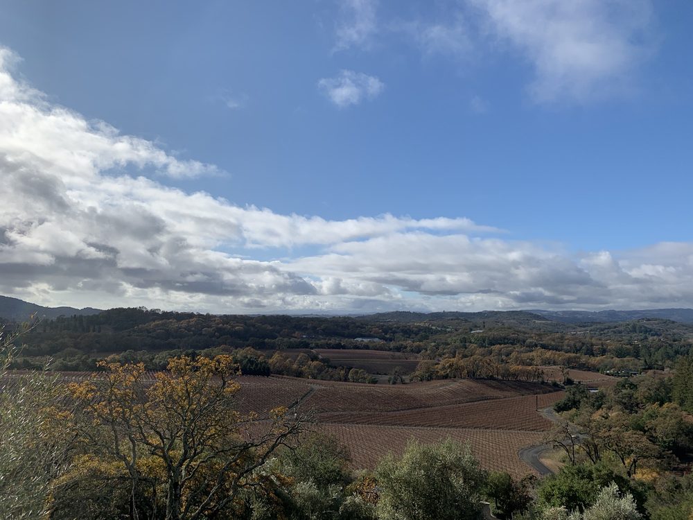 PALMAZ VINEYARDS - 308 Photos & 141 Reviews - 4029 Hagen Rd, Napa, CA ...