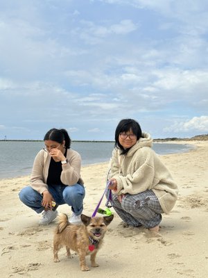 HIGBEE BEACH WILDLIFE MANAGEMENT AREA - Updated October 2025 - 90 ...