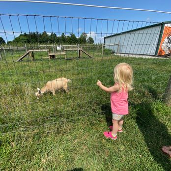 TRANQUILLITY FARMS - Updated August 2025 - 198 Photos & 46 Reviews - 47 ...