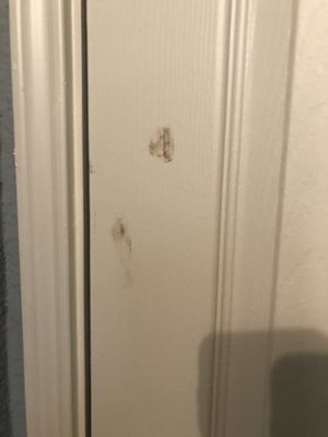 STRAND BROTHERS SERVICE EXPERTS - Updated August 2024 - 36 Photos & 542 ...