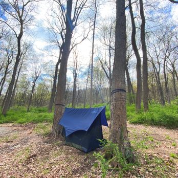 WORTHINGTON STATE FOREST - Updated December 2025 - 182 Photos & 50 ...