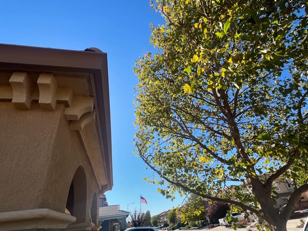 ALEX TREE & LANDSCAPE SERVICE - Updated July 2025 - 25 Photos ...