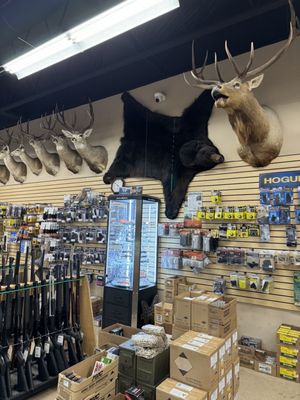 SO CAL GUN - Updated December 2025 - 31 Photos & 190 Reviews - 4891 ...