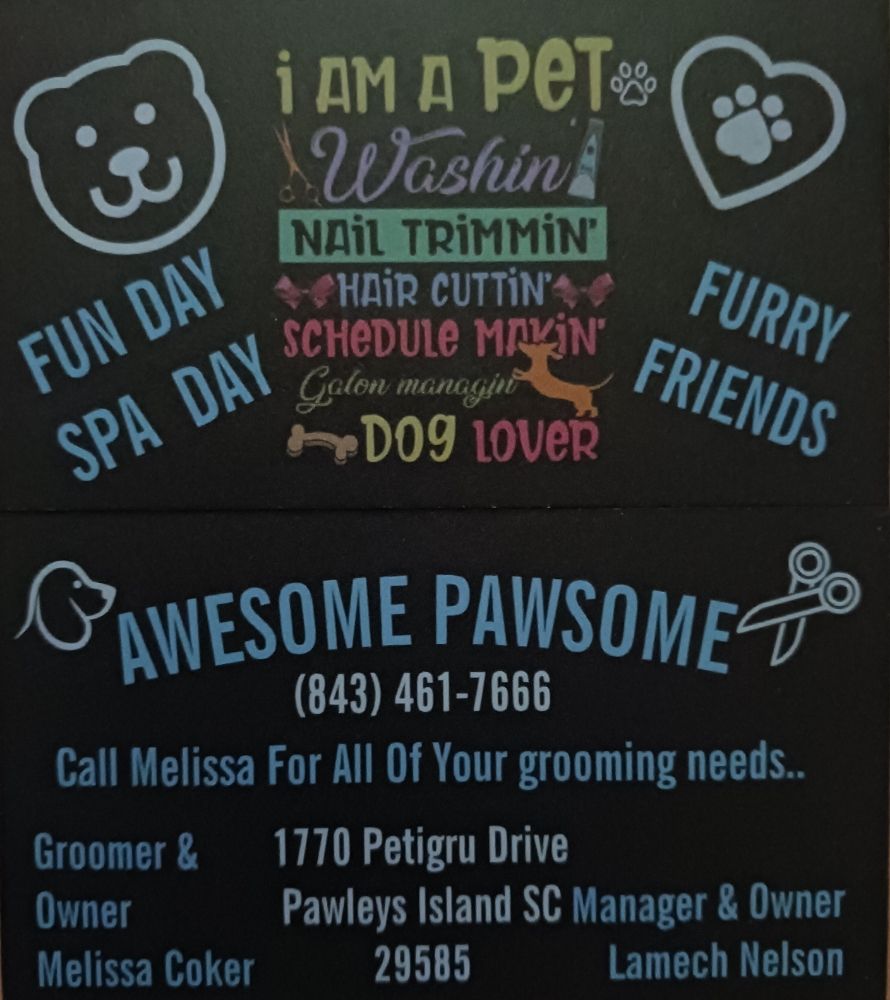 AWESOME PAWSOME - 1768 Petigru Dr, Pawleys Island, South Carolina - Pet ...