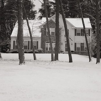 BUG SQUASHERS - Updated June 2024 - 12 Photos - 7466 New Ridge Rd, Hanover, Maryland - Pest ...