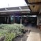 MILILANI MEMORIAL PARK & MORTUARY - Updated December 2025 - 451 Photos ...
