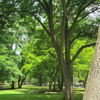 FRICK PARK - Updated June 2024 - 234 Photos & 98 Reviews - 1981 ...