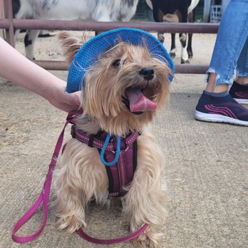 BRAEHEAD FARM - Updated December 2025 - 131 Photos & 60 Reviews - 1130 ...