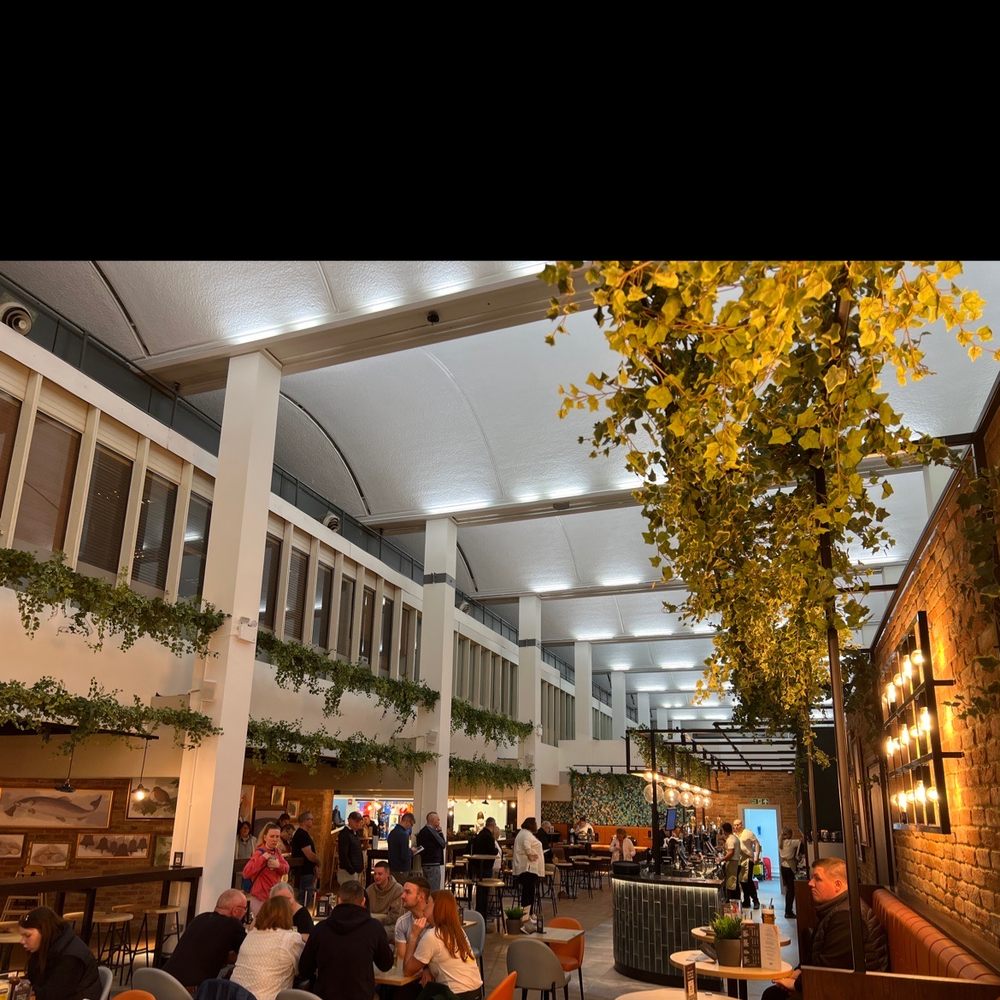 BIRD & SIGNET - Updated May 2024 - Paisley, Renfrewshire, United ...