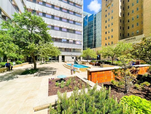 MAYO CLINIC - Updated May 2025 - 261 Photos & 324 Reviews - 200 1st St ...