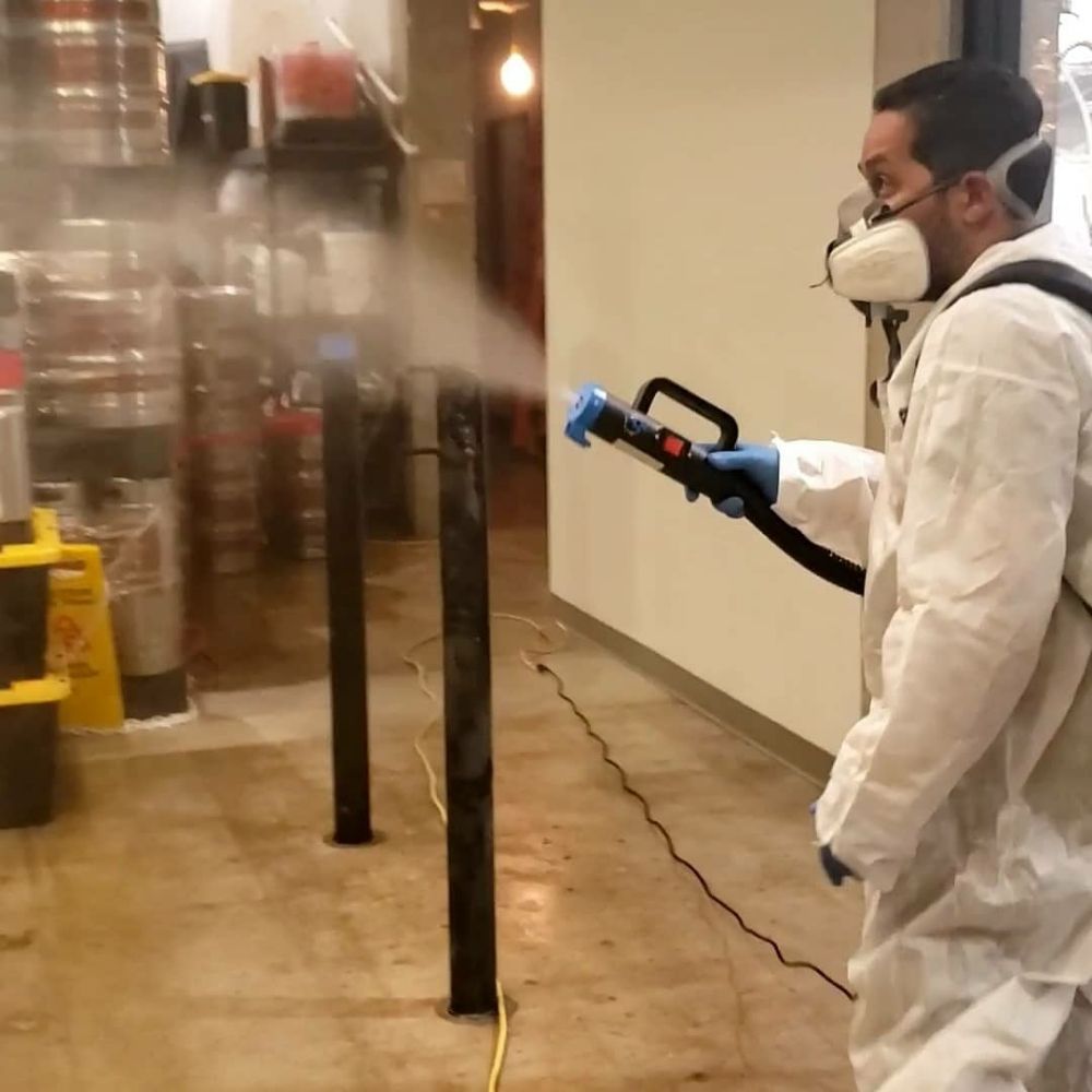 NATURAL PRO CLEANING - Long Beach, California - Updated October 2024 ...