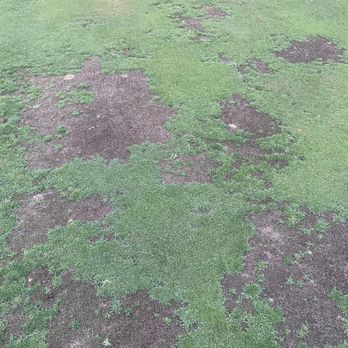 GREENDALE GOLF COURSE - Updated December 2025 - 28 Photos & 50 Reviews ...