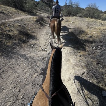 PONDEROSA STABLES - Updated January 2025 - 269 Photos & 212 Reviews ...