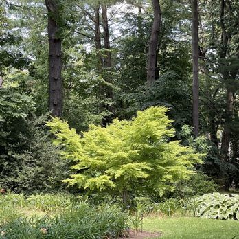 CLARK BOTANIC GARDEN - Updated October 2025 - 218 Photos & 30 Reviews ...