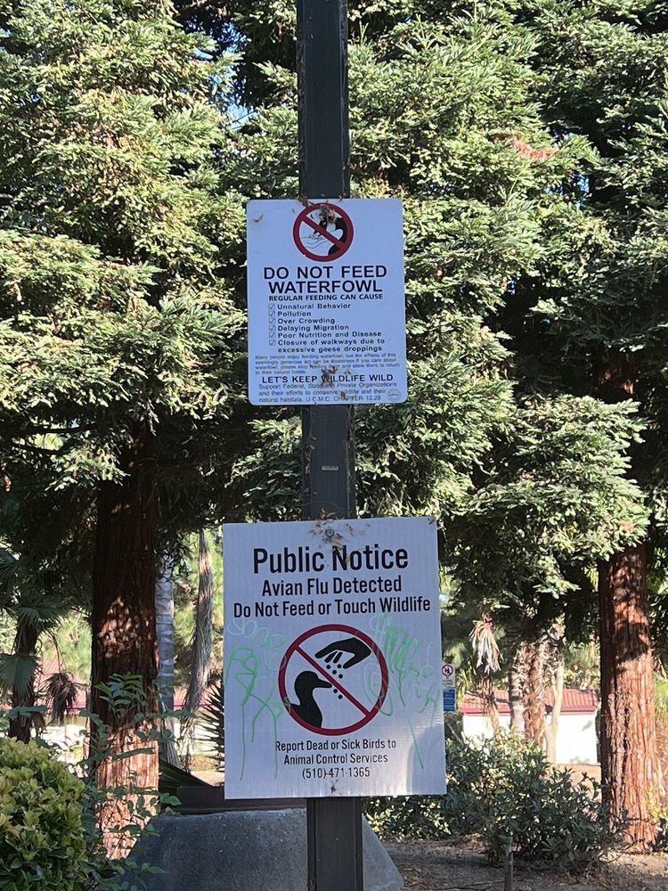 WILLIAM CANN CIVIC CENTER PARK - Updated May 2024 - 41 Photos - 34009 ...