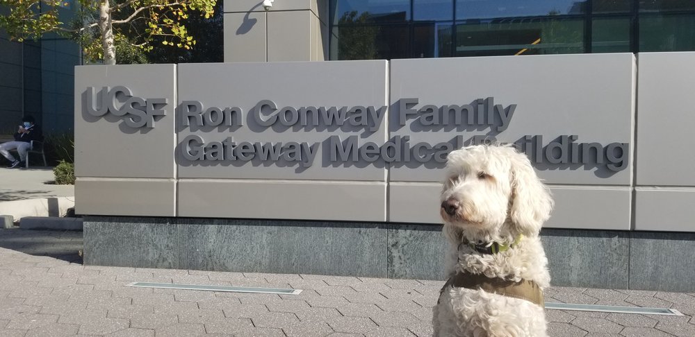 SANTA ROSA ORAL SURGERY - Updated March 2025 - 16 Photos & 107 Reviews ...