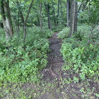 CLINTON STATE PARK - Updated October 2025 - 27 Photos & 26 Reviews ...