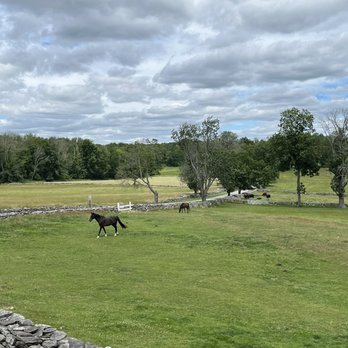 LITTLE DIPPER FARM - Updated October 2025 - 54 Photos - 499 Wolf Den Rd ...