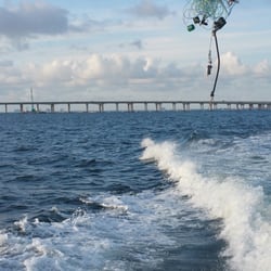 GANDY BRIDGE - 21 Photos & 14 Reviews - Tampa Bay, Florida - Landmarks ...