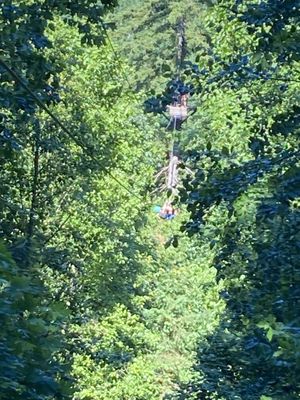 PUMPKIN RIDGE ZIP TOUR - Updated August 2024 - 95 Photos & 74 Reviews ...