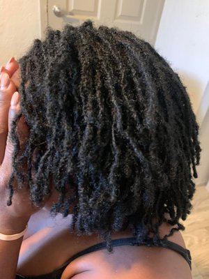 PUFFS N LOCS - Updated January 2025 - 1121 Druid Rd, Clearwater ...