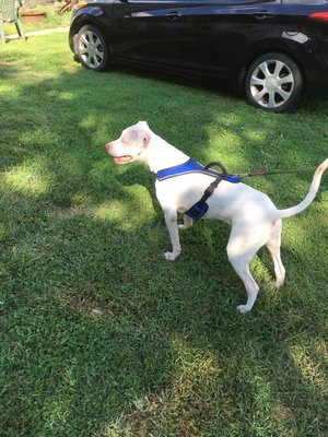 CUYAHOGA COUNTY ANIMAL SHELTER - Updated October 2025 - 10 Photos & 17 ...