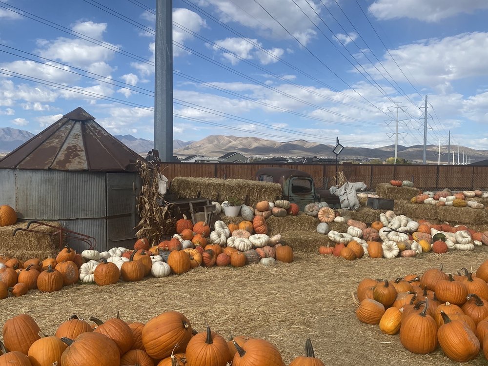 EVANS FAMILY FARM - 10 Photos - 2600 W Main St, Lehi, Utah - Pumpkin ...