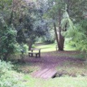 RADYR WOODS - Junction Ter, Cardiff, United Kingdom - Parks - Yelp