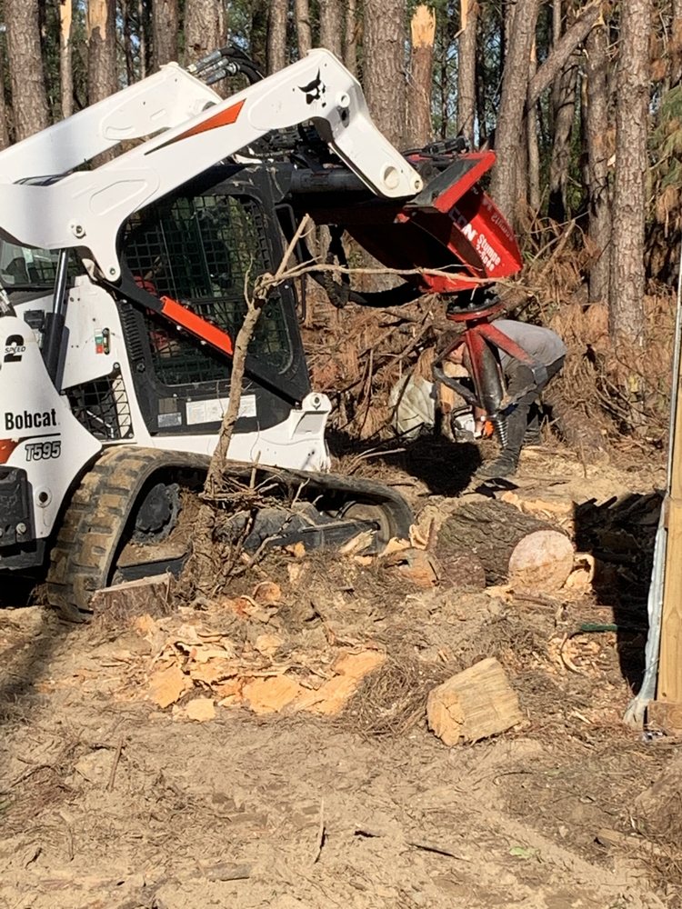 THE STUMPINATOR - Request a Quote - Foley, Alabama - Tree Services ...