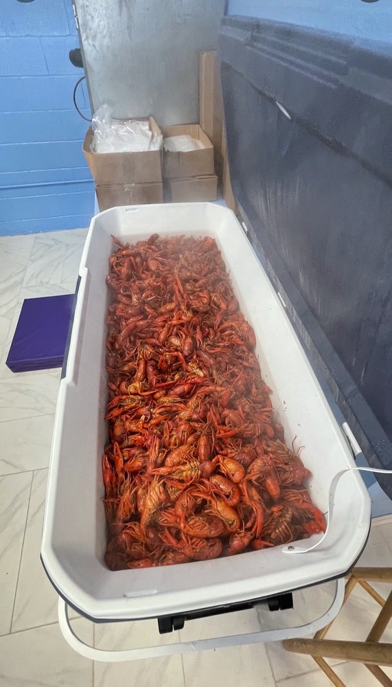 B&T SEAFOOD - Updated August 2025 - 18 Photos & 17 Reviews - 4167 ...