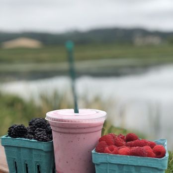 UNGER FARMS - Updated December 2025 - 86 Photos & 22 Reviews - 34180 SW ...