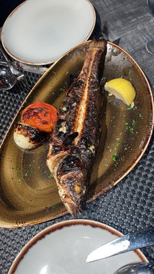 RAVAGH PERSIAN GRILL - Updated October 2025 - 597 Photos & 472 Reviews ...