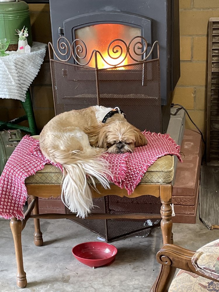 POP’S POP UP SHOP - Updated November 2024 - 41 Photos - 517 W Howard St ...