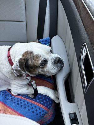 MICHAEL BUTCHKO, DVM - Updated December 2025 - 214 Photos & 541 Reviews ...