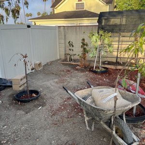 EMERGE LANDSCAPE - Updated May 2024 - 37 Photos - Anaheim, California ...