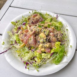 HANALEI POKE - Updated February 2026 - 448 Photos & 475 Reviews - 5 ...