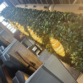 GRACKLE - Updated October 2025 - 163 Photos & 86 Reviews - 11852 Elm ...