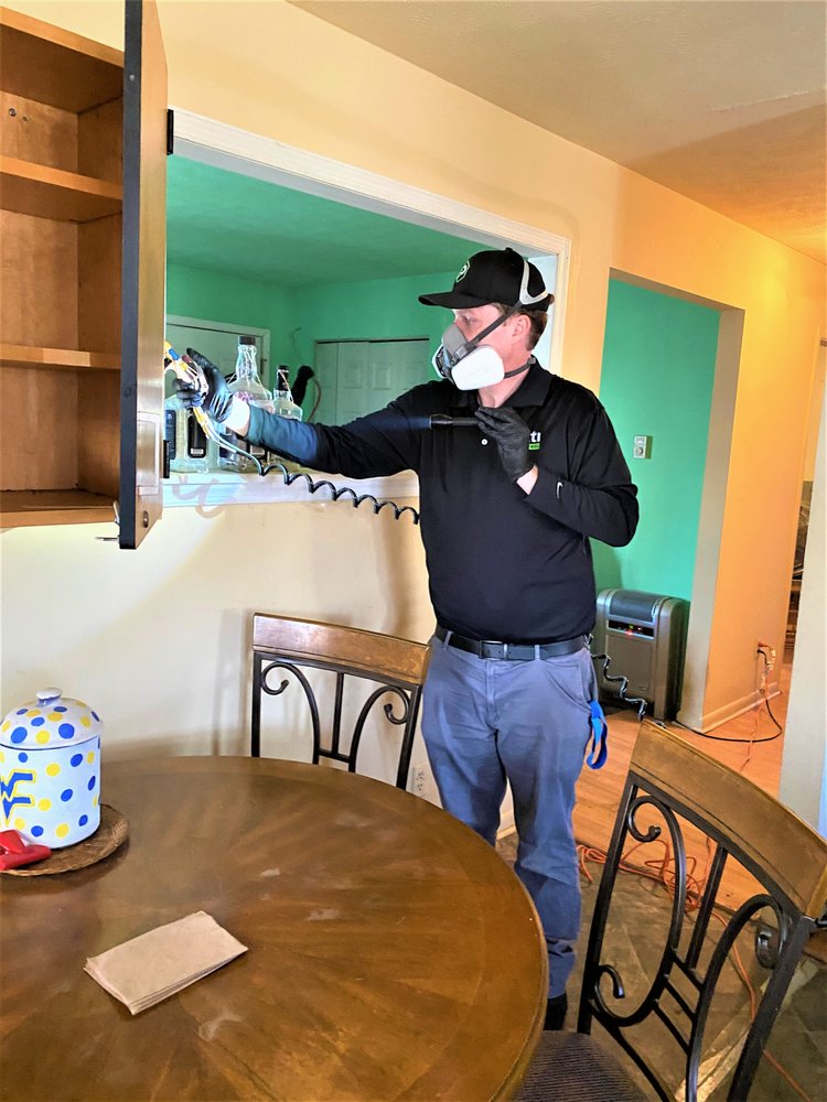 PETTI PEST CONTROL - Updated November 2025 - 43 Photos - 71 Edmond Rd ...